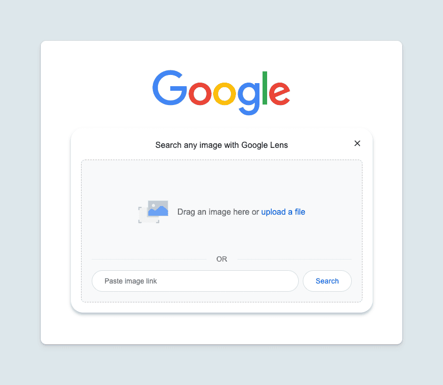 Logiciel de recherche par images : tous les détails pratiques - Luigi's Box